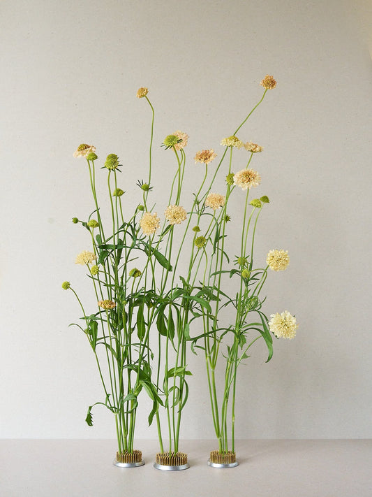 BOTANIA.DK